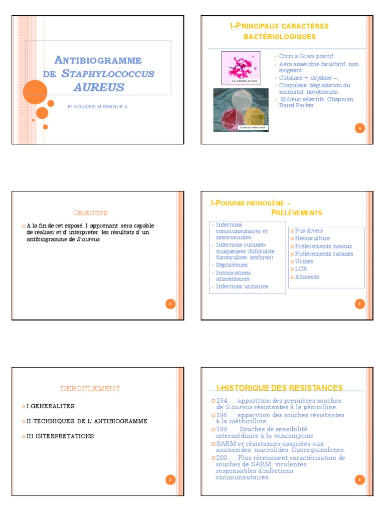 Antibiogramme S | PDF | Staphylococcus aureus résistant à la ...