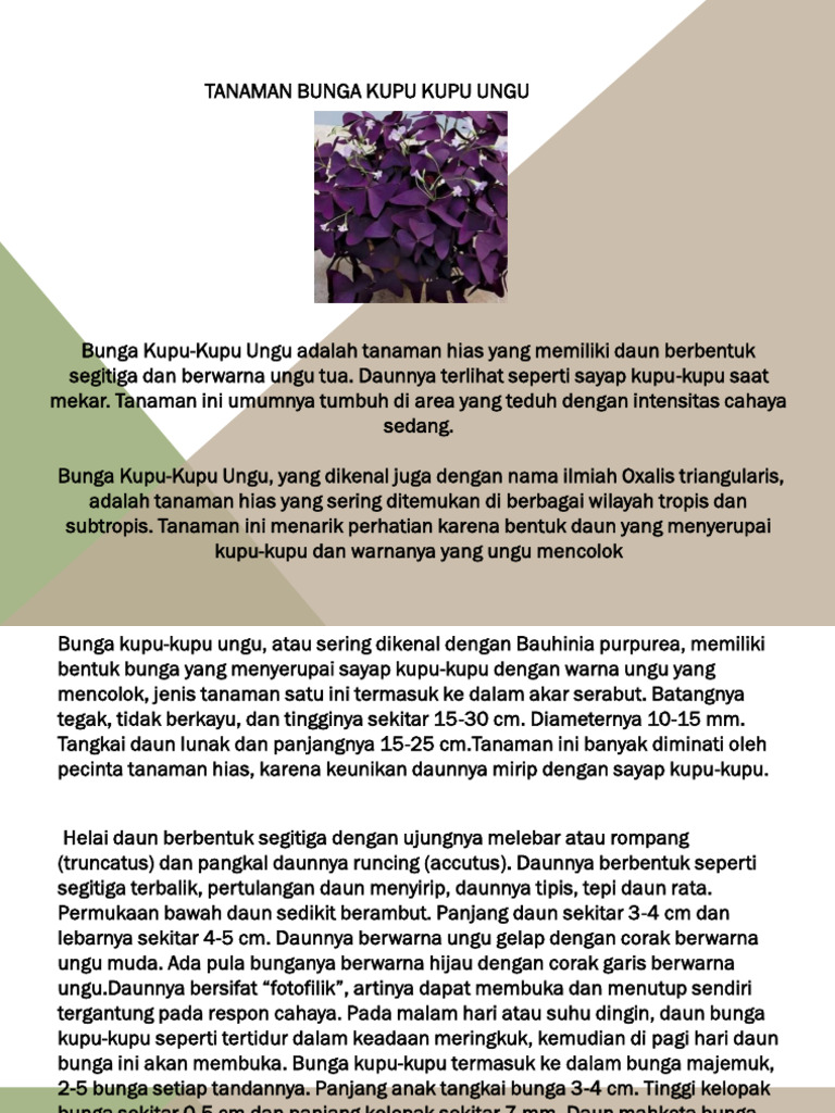 ppt b.indo | PDF