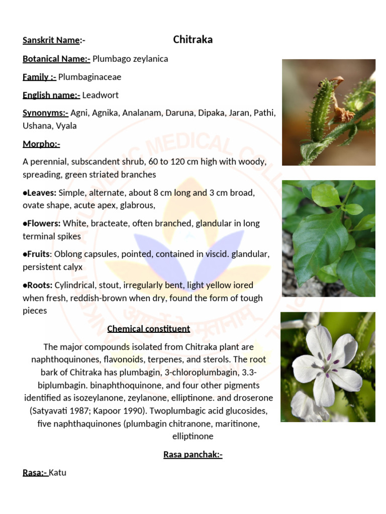 Chitraka | PDF | Wellness