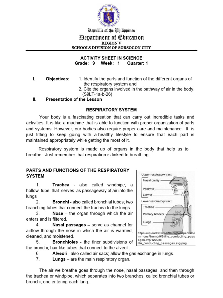 Science 9 Q1 Wk1 (3pages) | PDF | Respiratory System | Lung