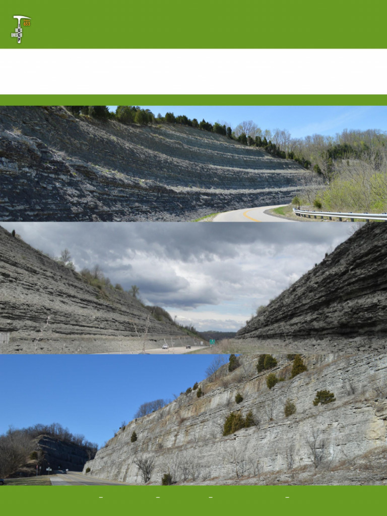 Brett Et Al 2018 The Classic Upper Ordovician Stratigraphy and ... Brett Et Al 2018 The Classic Upper Ordovician Stratigraphy and ...
