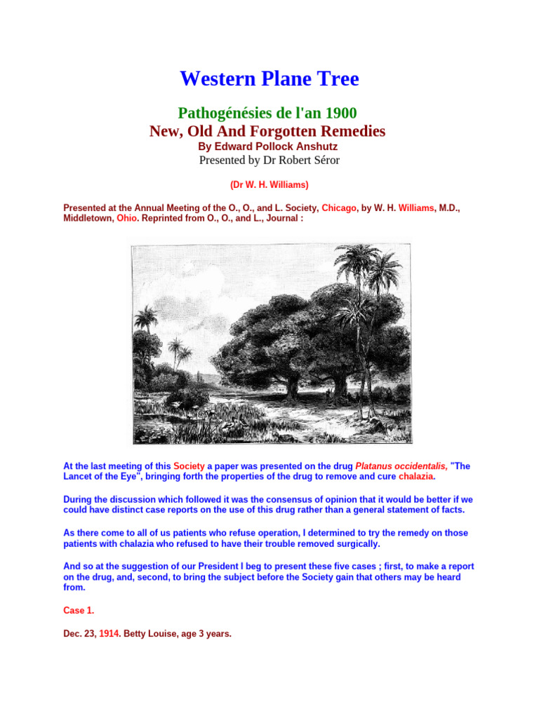 Western Plane Tree | PDF