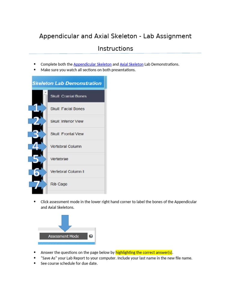 Nalimata Karamoko Appendicular and Axial Skeleton - Lab Assignment | PDF