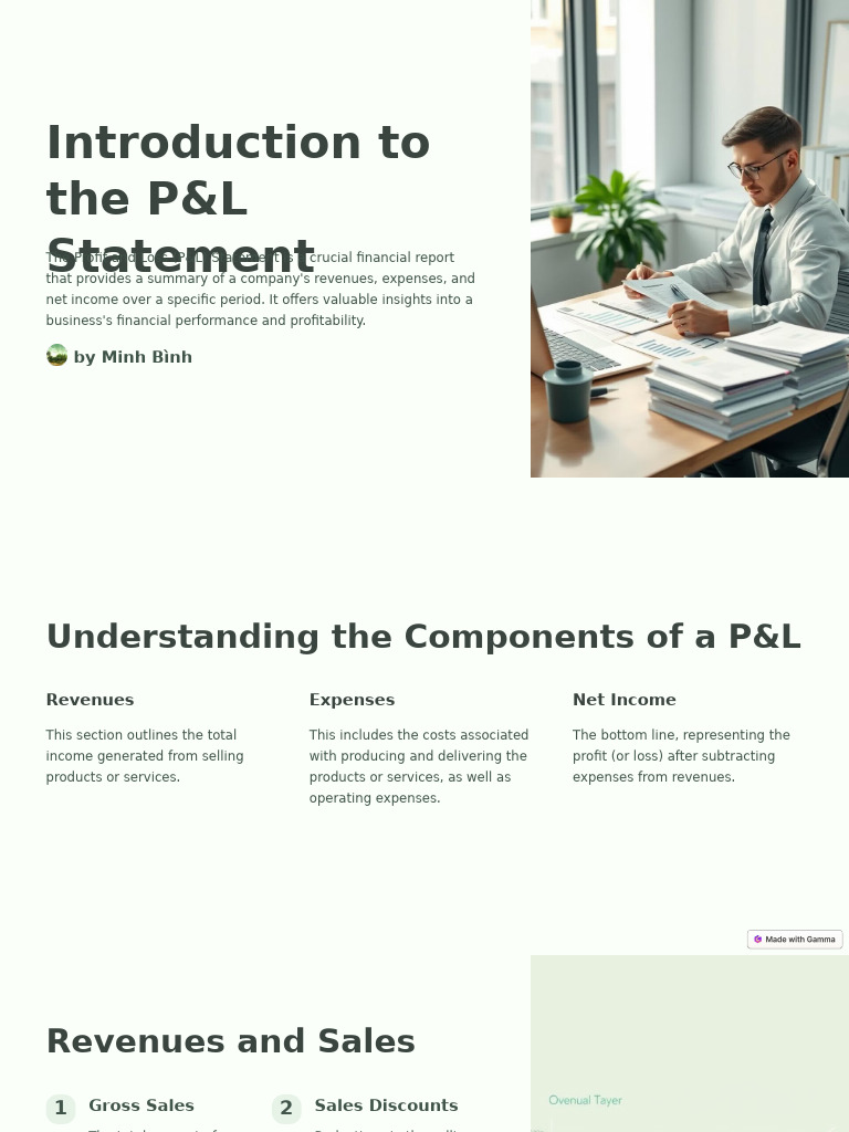 Introduction-to-the-P & L-Statement | PDF