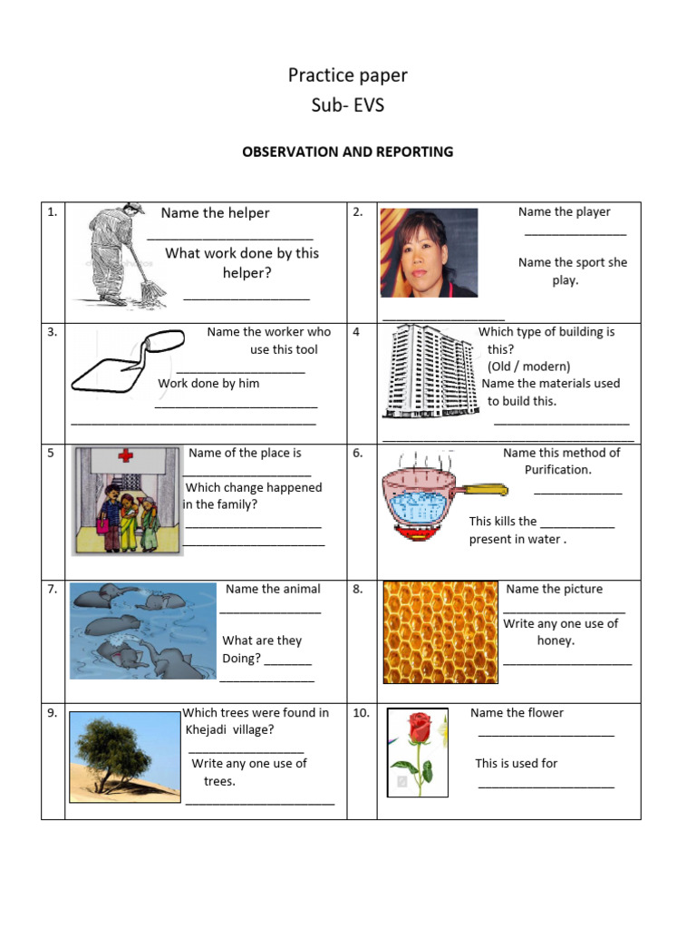 Practice Paper Grade 4 Evs | PDF