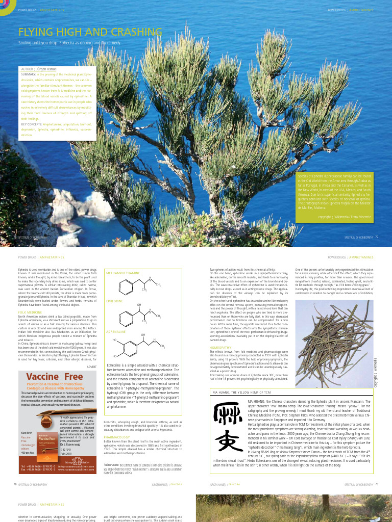 Spectrum of Homeopathy Power Drugs (Extract) | PDF | Infection | Vaccines