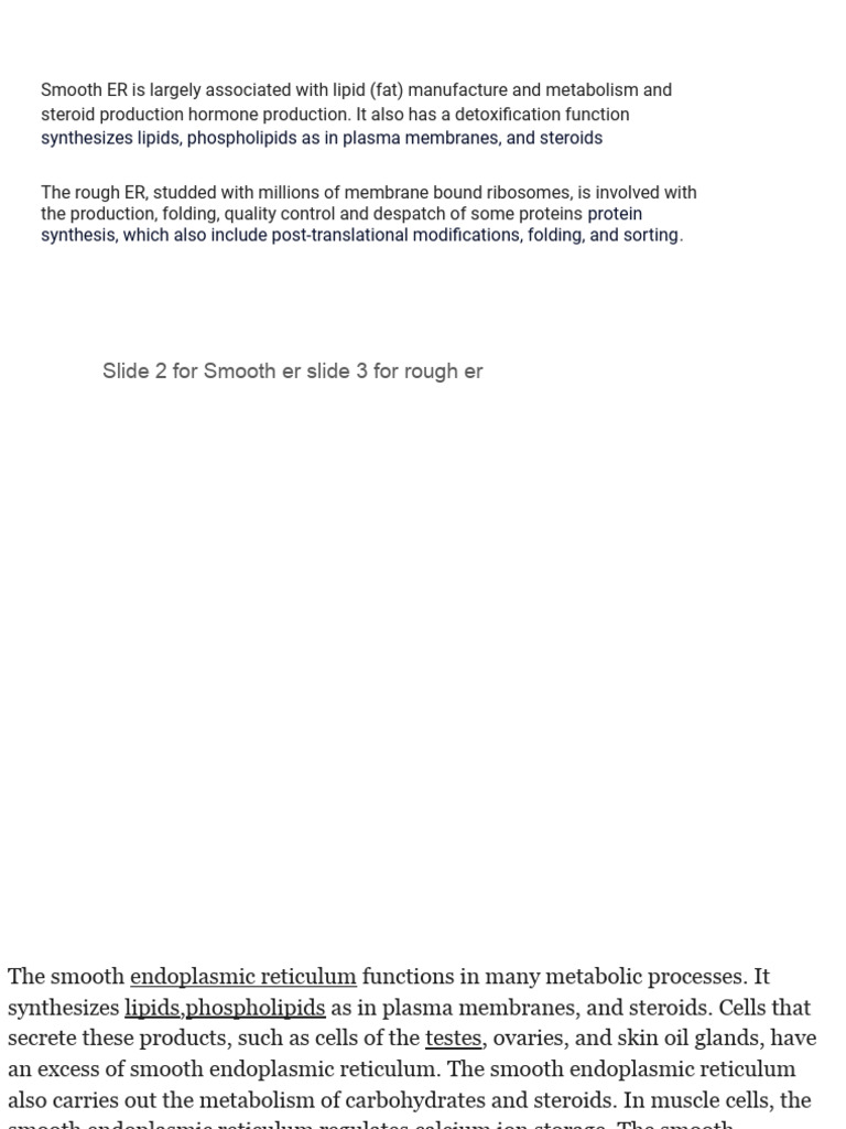 Slide 2 For Smooth Er Slide 3 For Rough Er: Synthesizes Lipids ...
