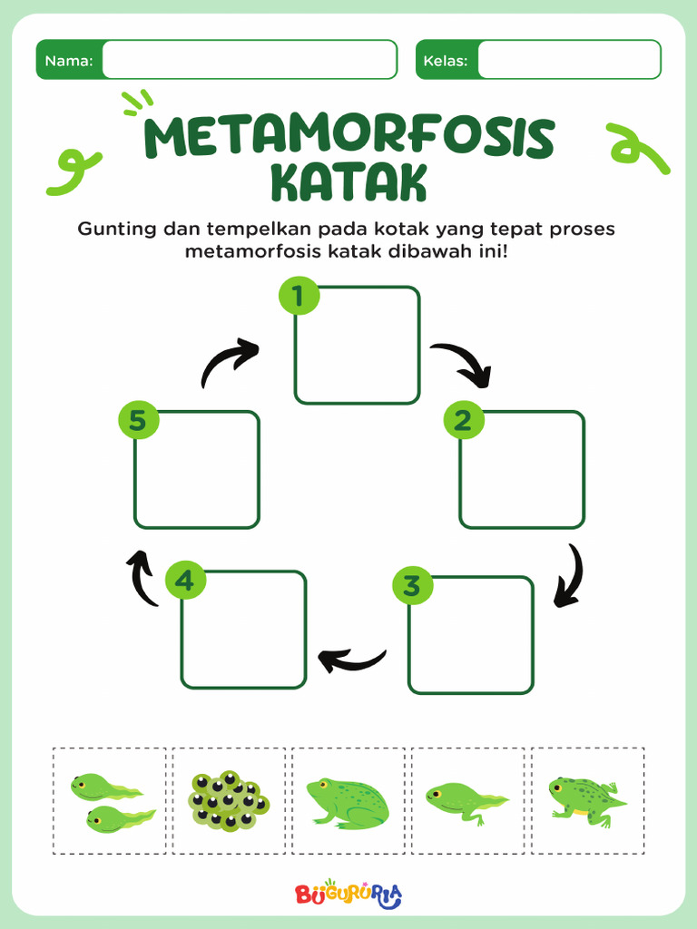 Gunting Tempel - Metamorfosis Katak | PDF
