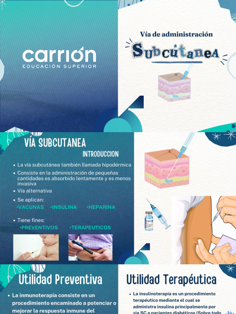 Via Subcutanea | PDF