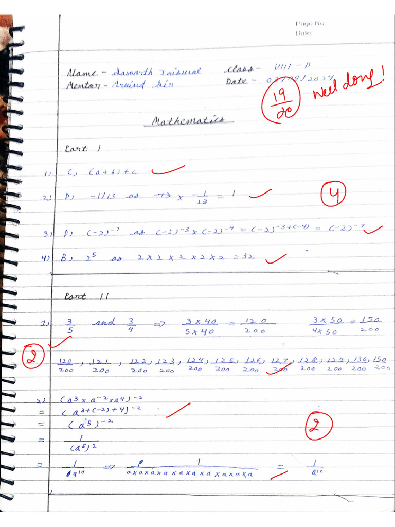 Samarth Jaiswal Class-8 Mathematics Paper - IRON Man | PDF