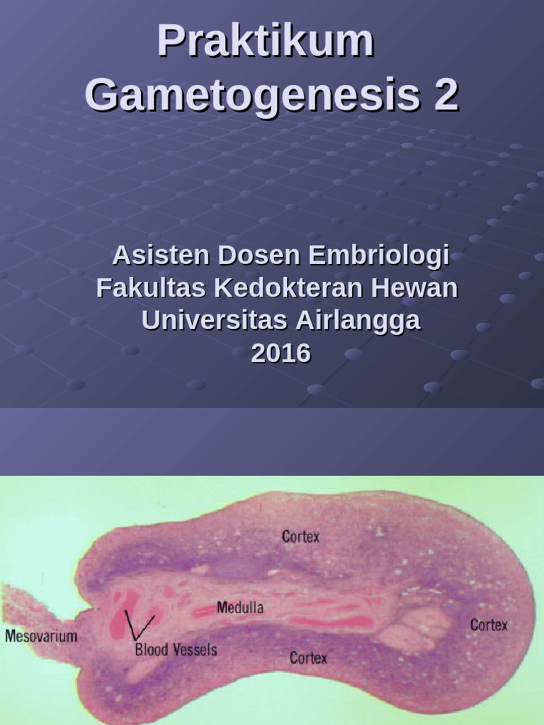 TUTORIAL 2-Gametogenesis 2 | PDF