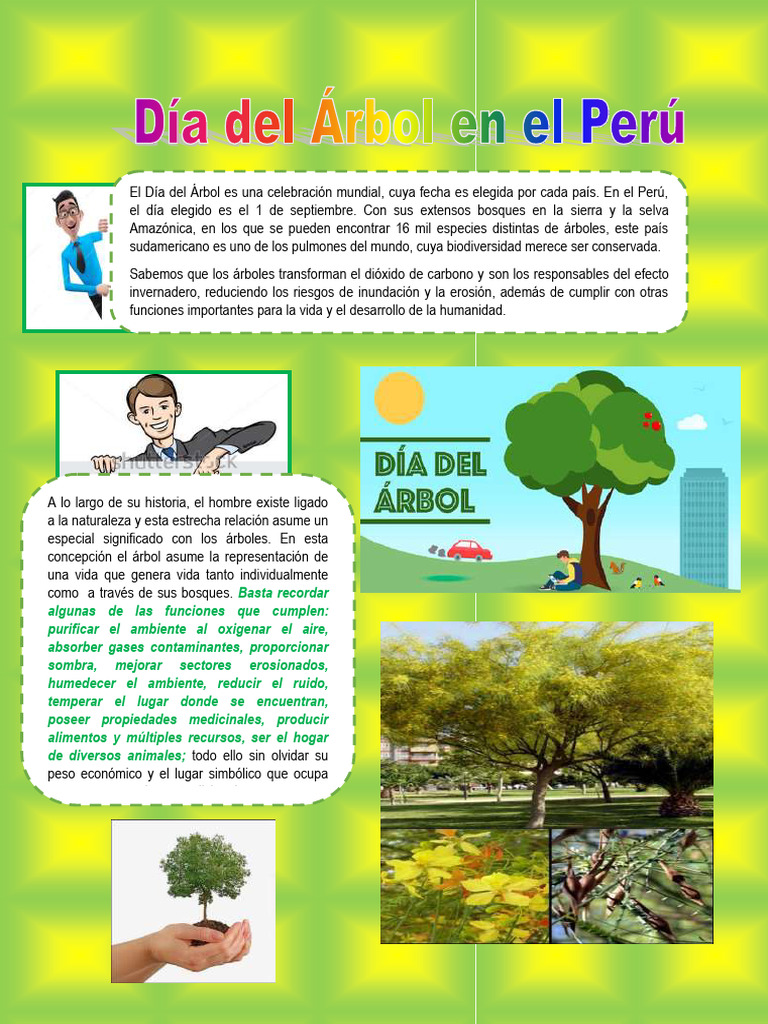 Importancia del Día del Árbol en Perú | PDF | Arboles | Los bosques