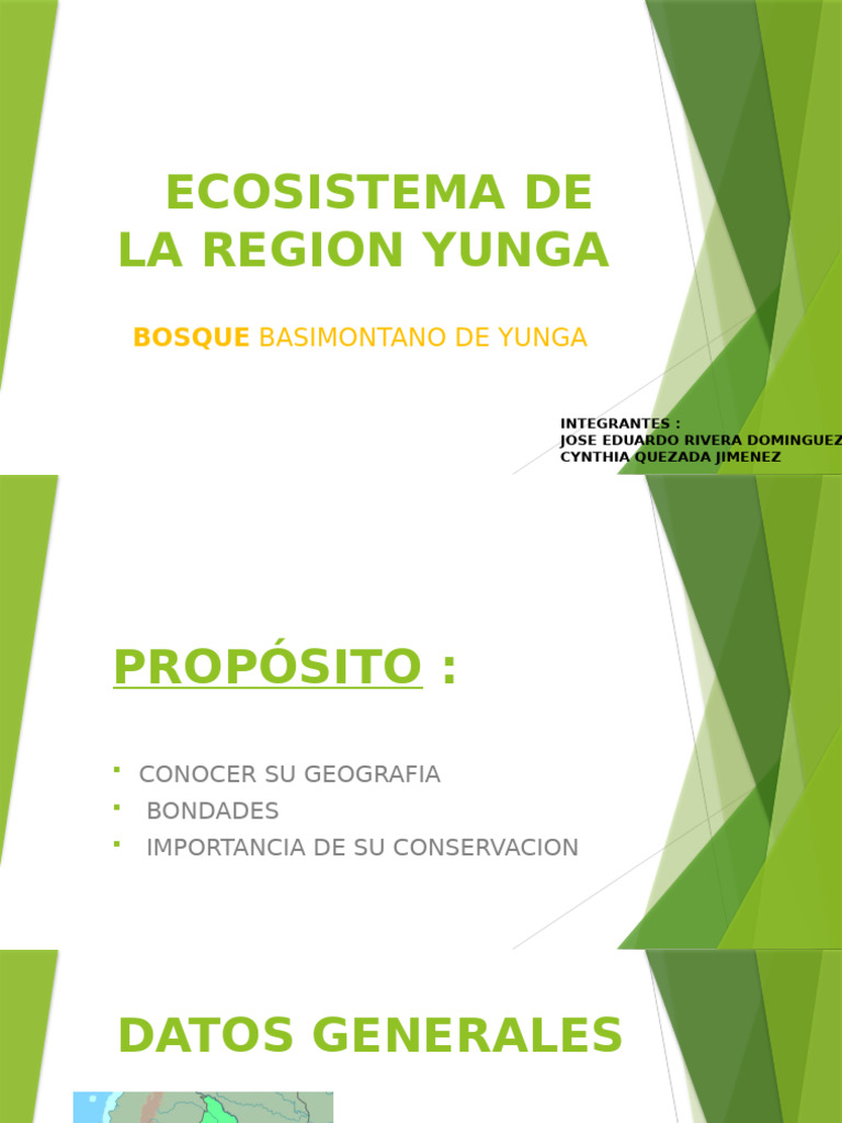 Ecosistema de La Region Yunga | PDF