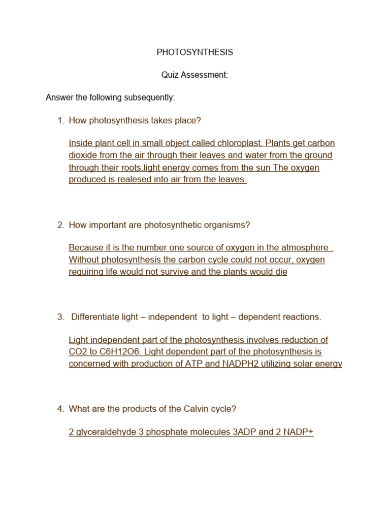 PHOTOSYNTHESIS - Assessment.docx | PDF