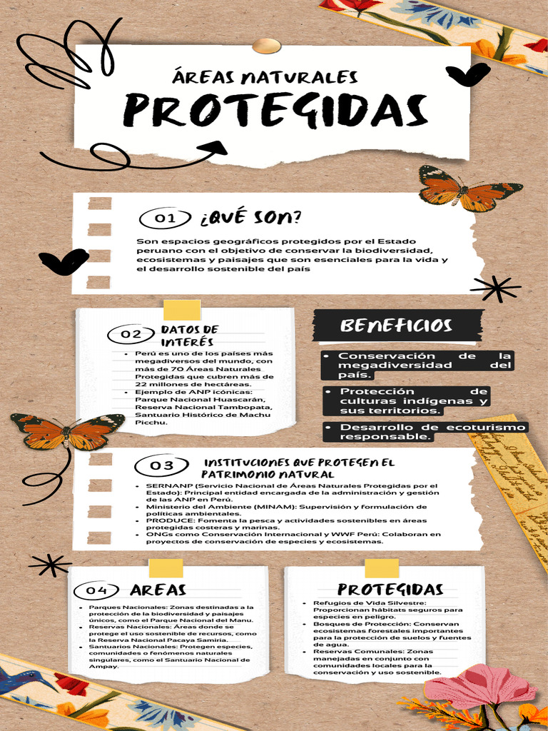 Infografía Guía DPCC | PDF