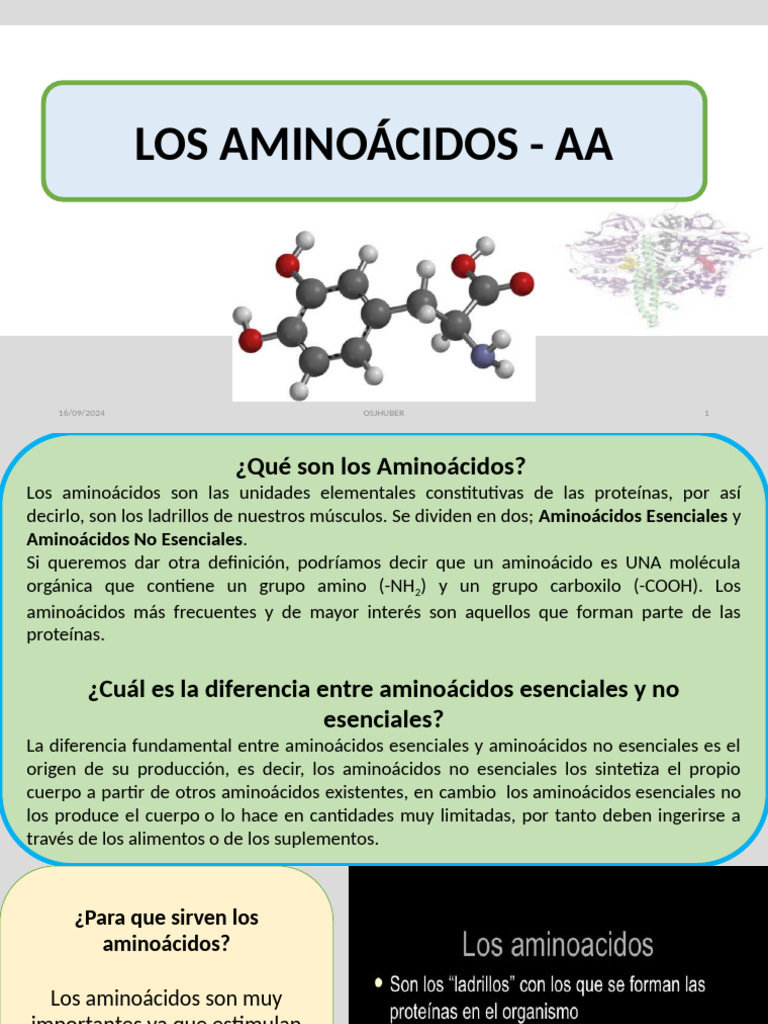 Teoria #06 - Aminoacidos y Polipeptidos | PDF