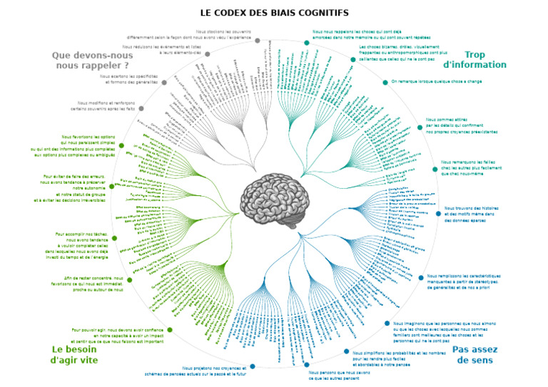 The Cognitive Bias Codex (French) - John Manoogian III (Jm3) | PDF