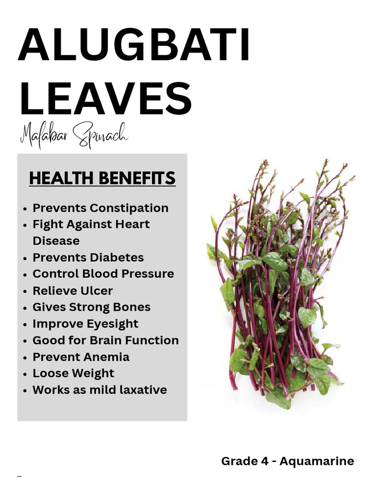 Alugbati Leaves | PDF