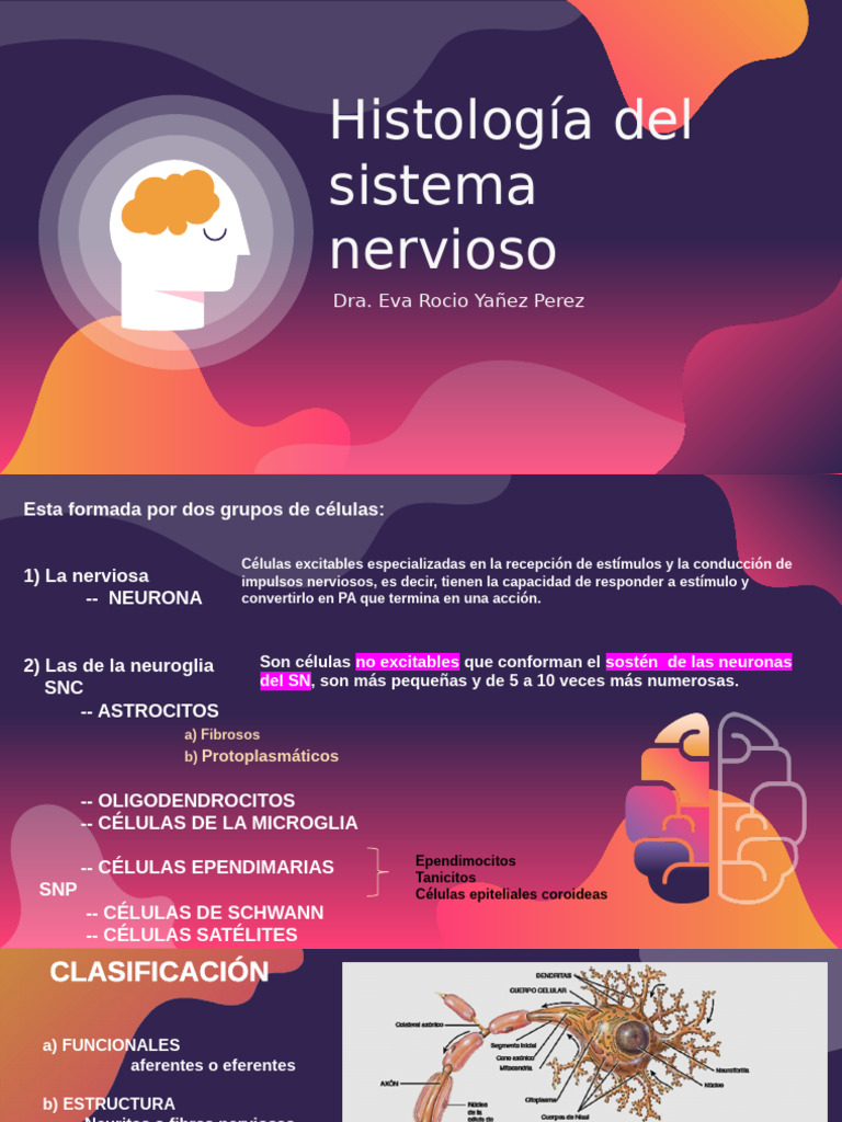 HISTOLOGIA DEL SIST NERV | PDF