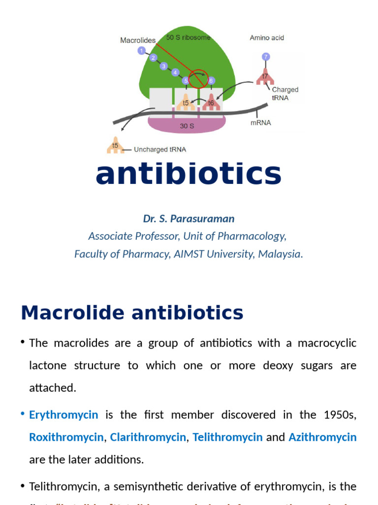 Macrolides Unit 1 | PDF