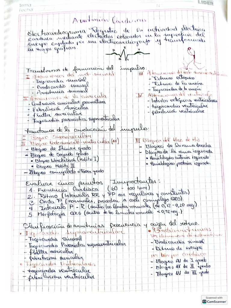 Arritmias Fany Copa | PDF