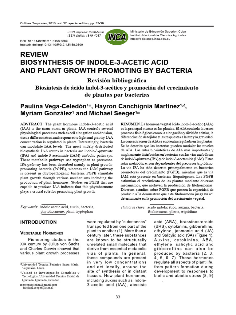 Review Biosynthesis of Indole-3-Acetic Acid and Plant Growth Promoting ...
