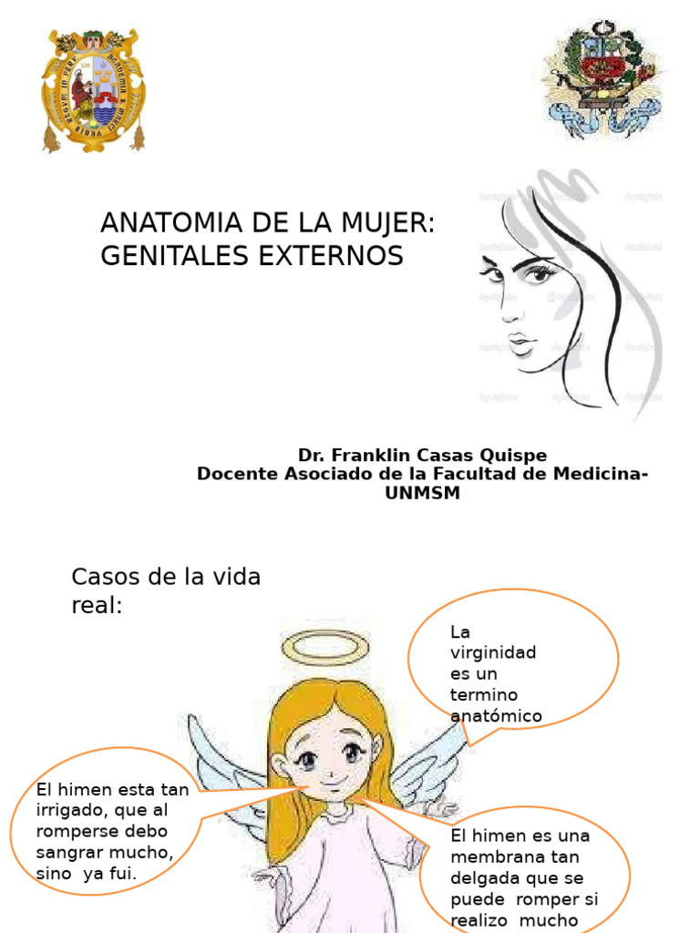 Medicina 2024 Genitales Externos Femeninos | PDF | Labios | Clítoris