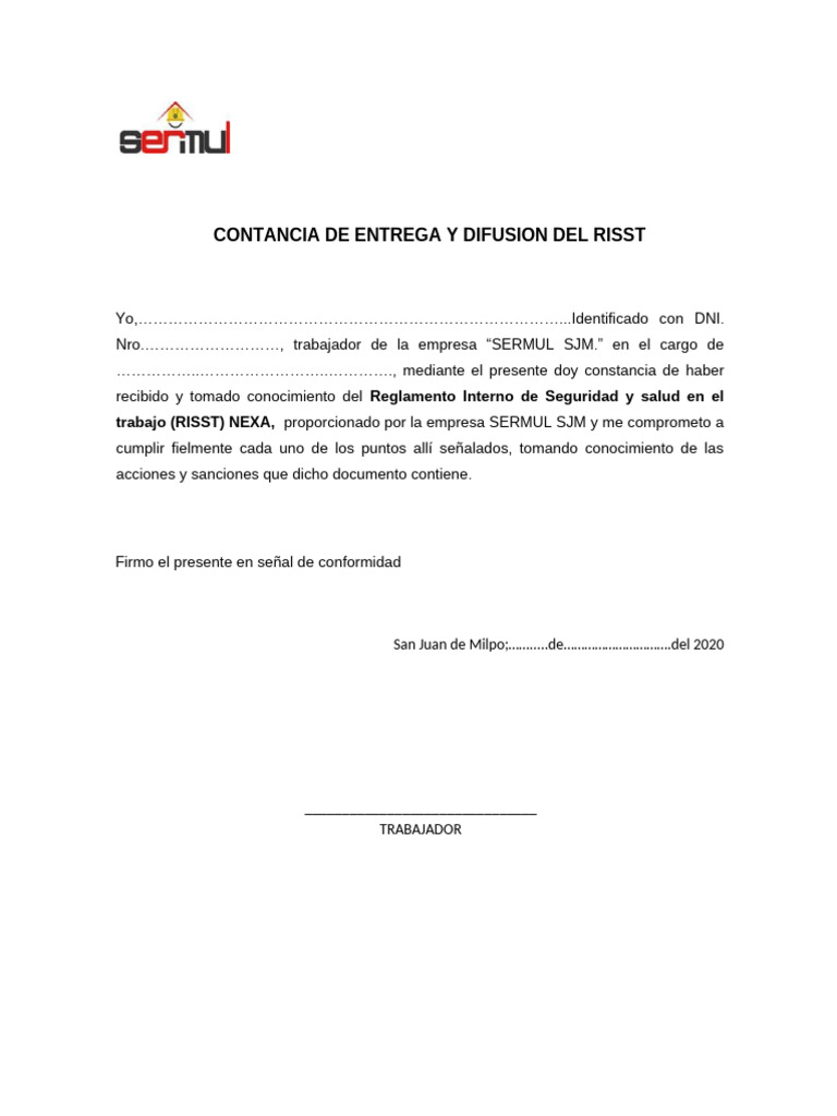 2-RISST Constancia de Entrega | PDF