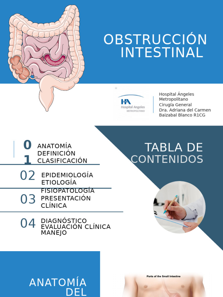 Obstrucción intestinal | PDF