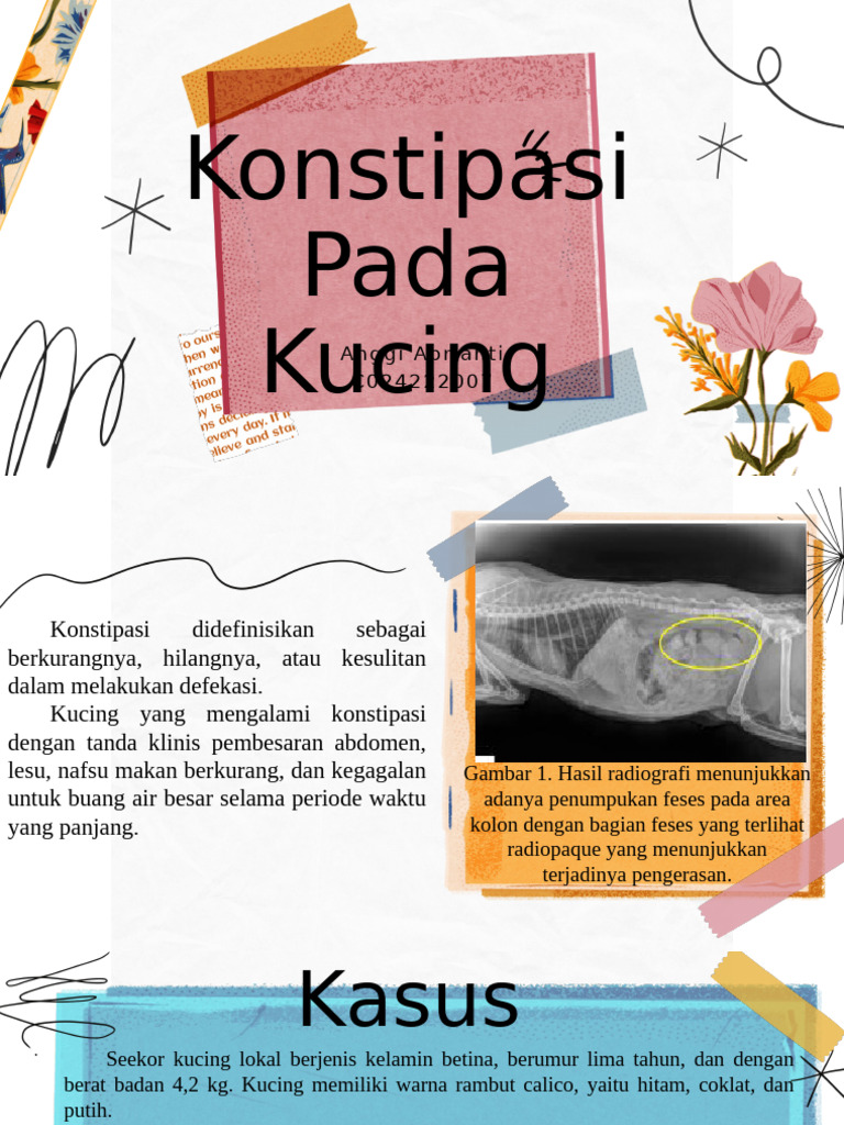 Anggi | PDF