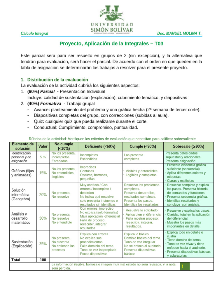300 Proyecto Aplicaciones de la Integral - T03 | PDF