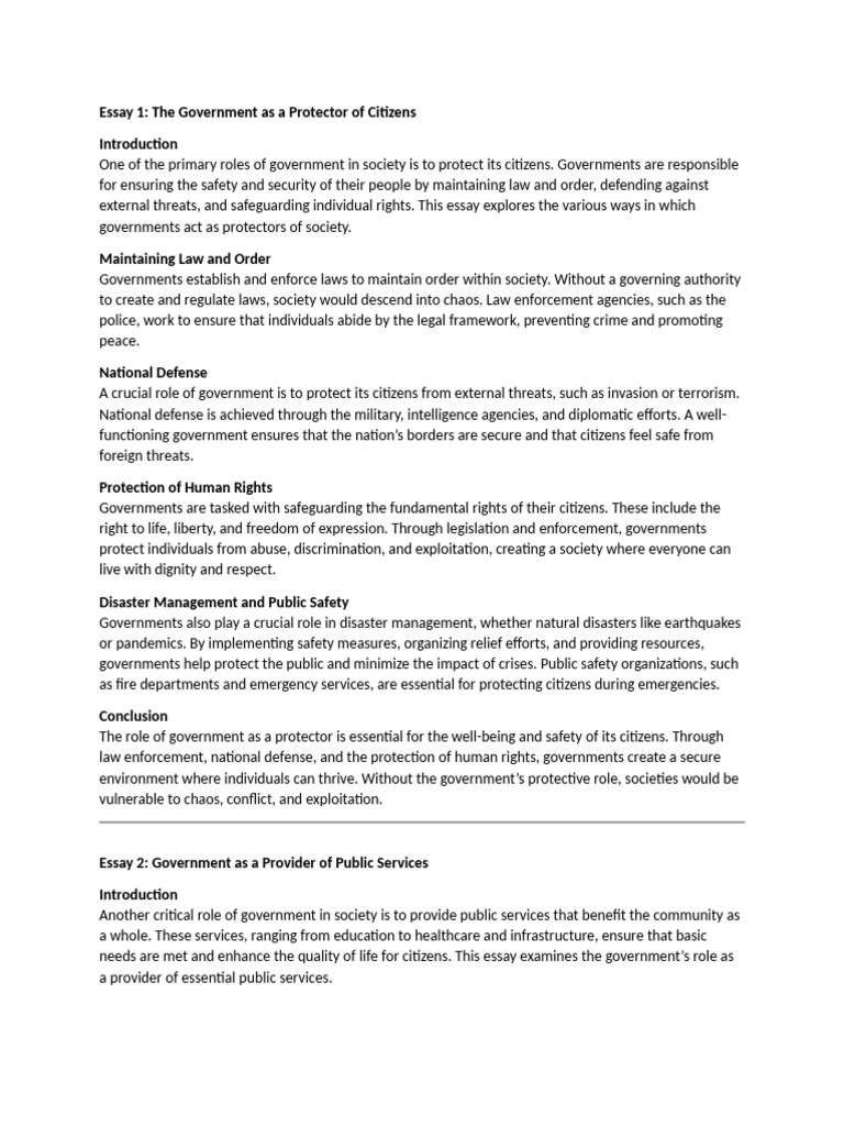 Importance of Government in Our Society 4 | PDF