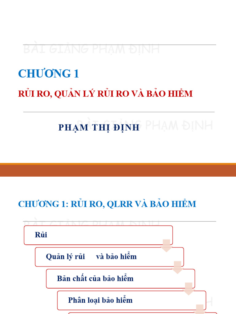 Bài 1.R I Ro, QLRR Và BH | PDF