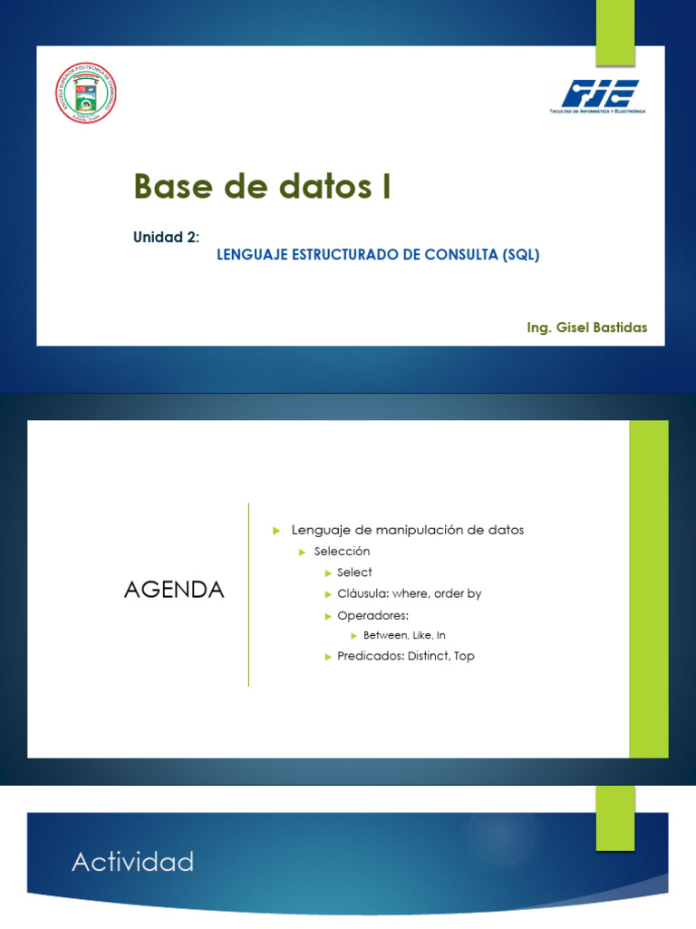 Lenguaje de Manipulación de Datos II | PDF