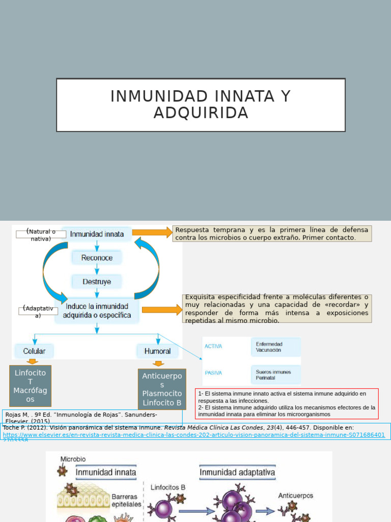 Inmunidad Innata y Adquirida | PDF | Sistema inmune | Sistema inmune innato