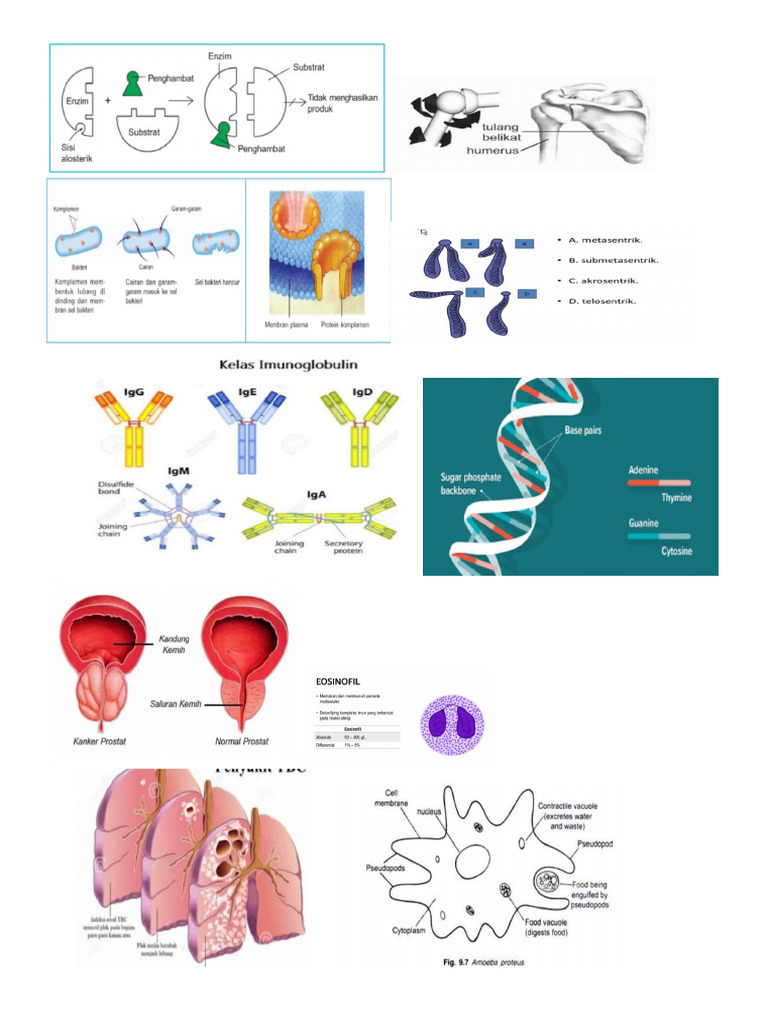 Picture Biological | PDF