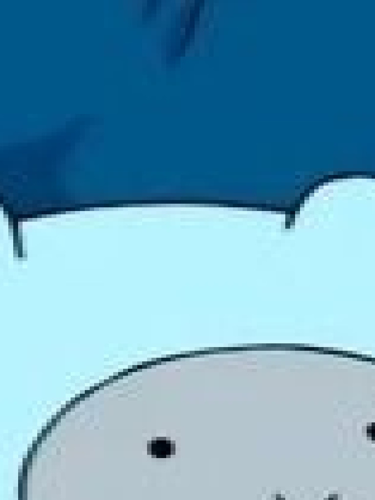 Thae Nas Sanfoasfnosa Ffsa22 Pdf