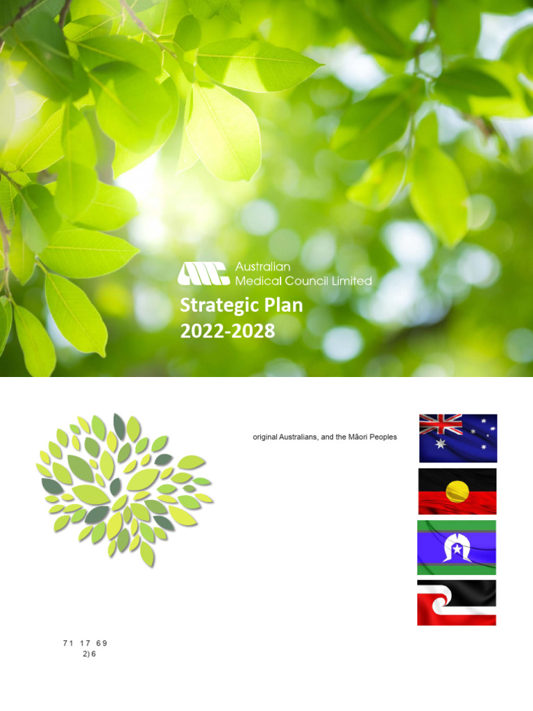 AMC Strategic Plan 2022 2028 | PDF