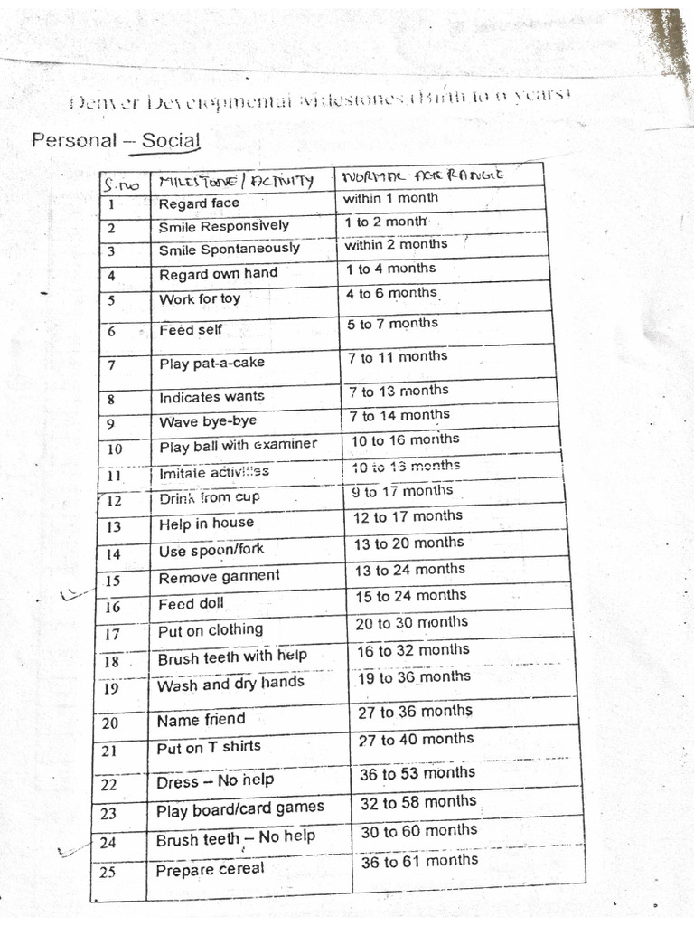 Denver Development Milestone | PDF