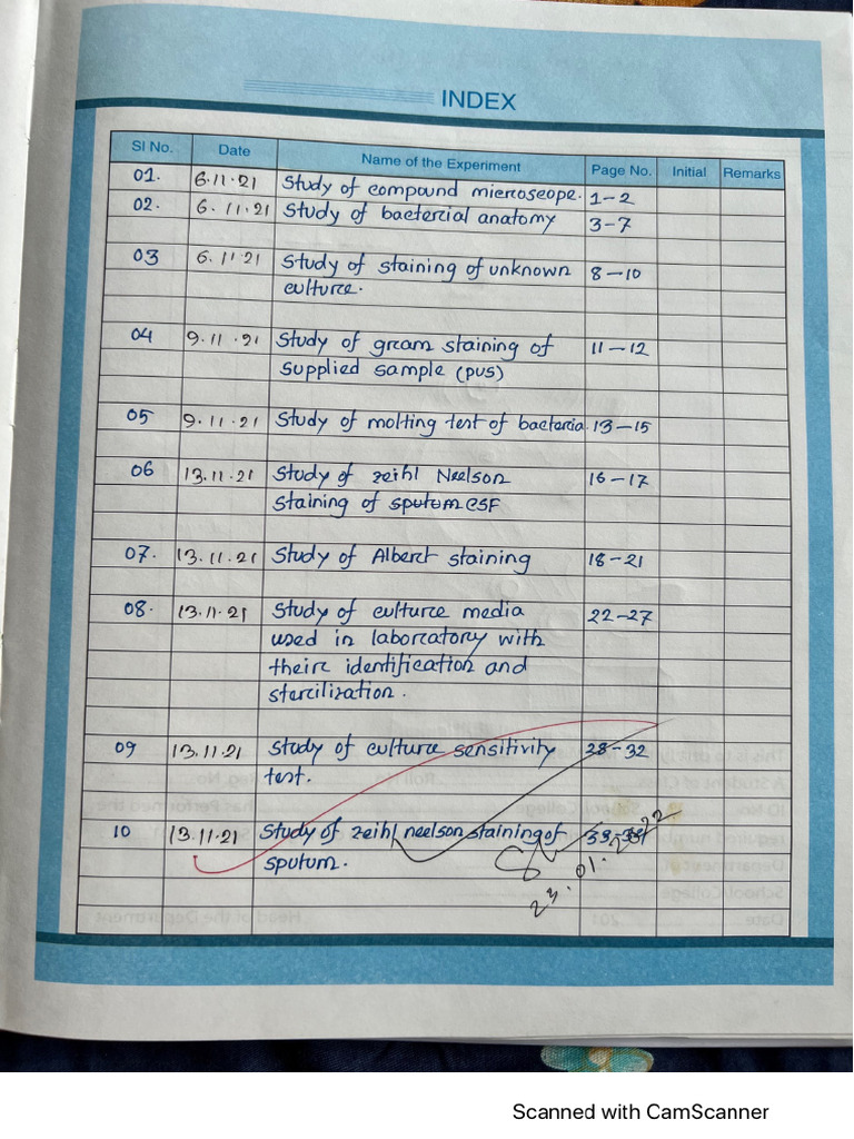 Micro Practical 2 Stain | PDF