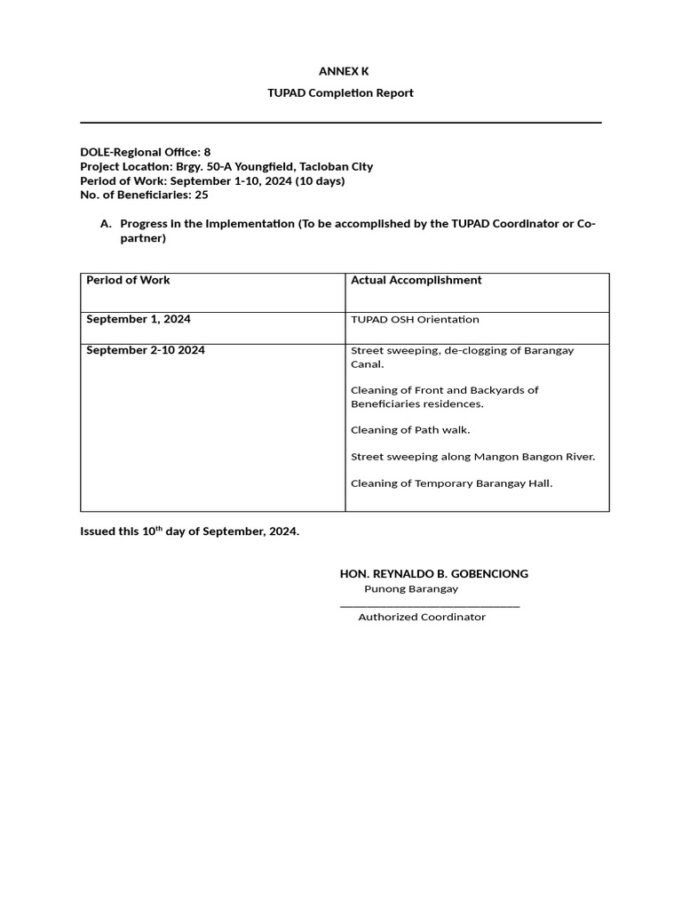 Tupad Completion Report | PDF