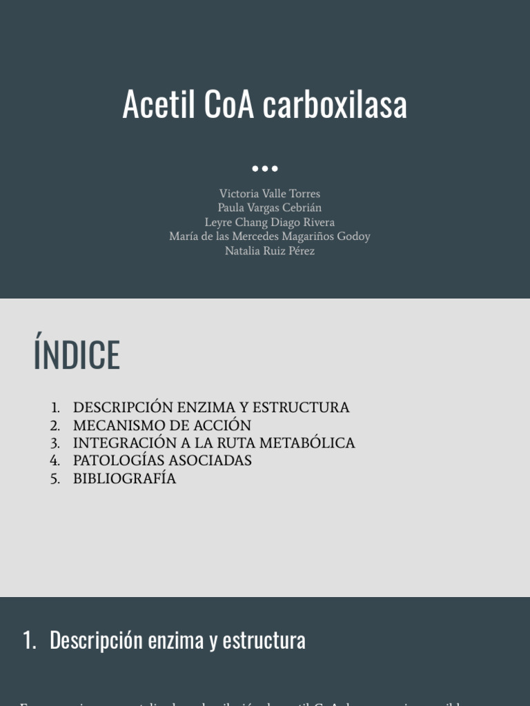 Enzima ACC | PDF
