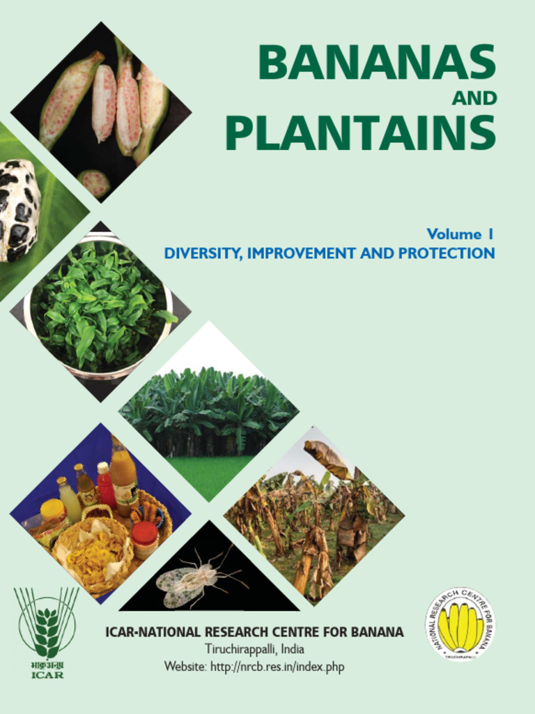 Bananabooks | PDF