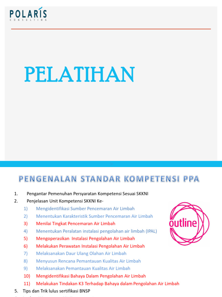 Pengenalan Standar Kompetensi PPA | PDF