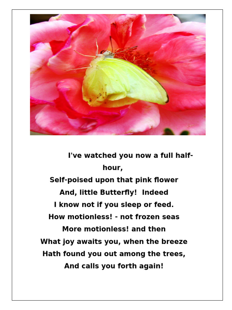 Will Words | PDF
