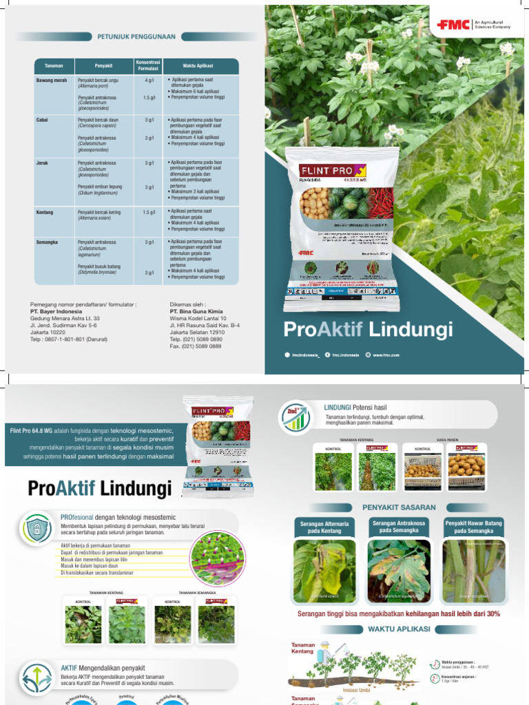 Panduan Fungisida Flint Pro | PDF
