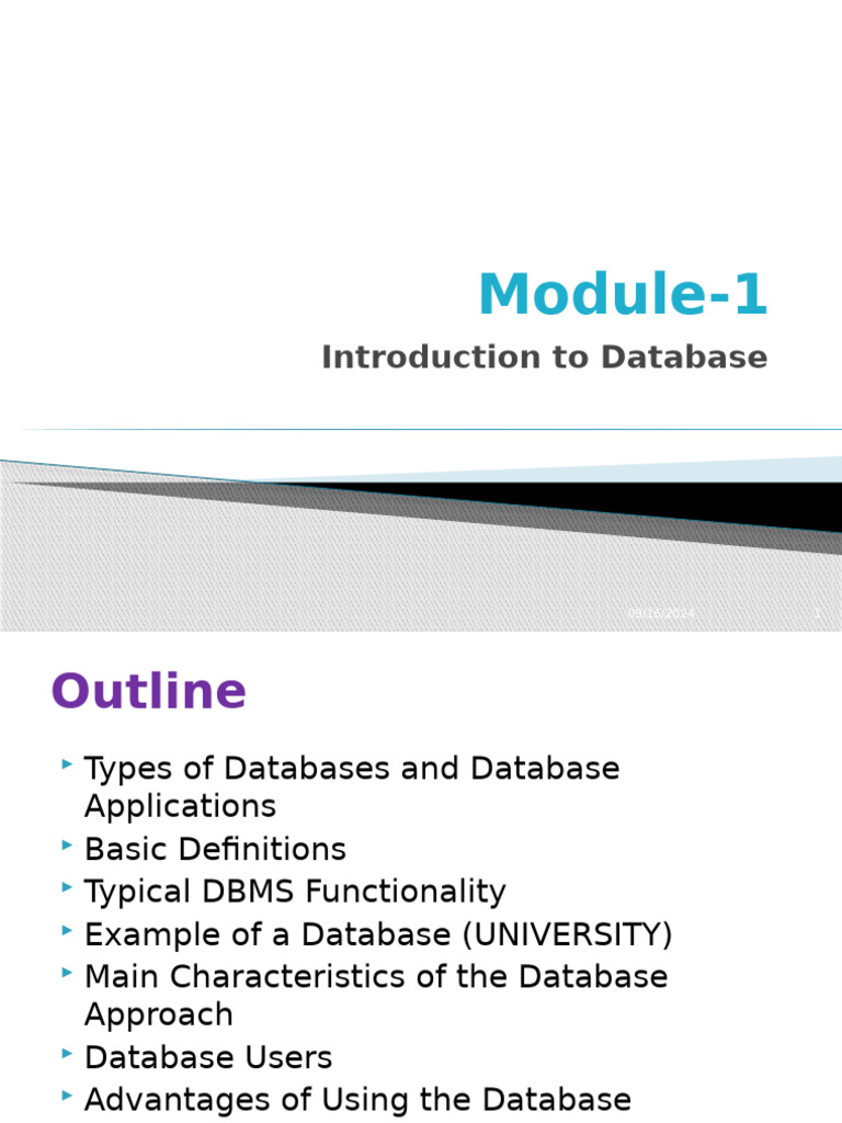 Introduction To Database | PDF | Databases | Computers
