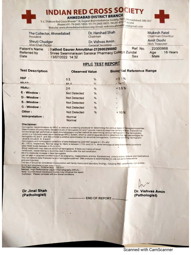Thalassemia Report | PDF