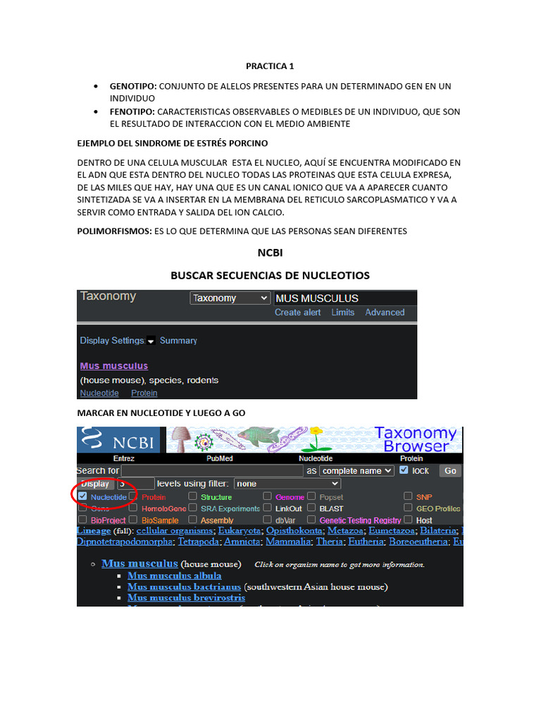 Resu Practica Biomol | PDF