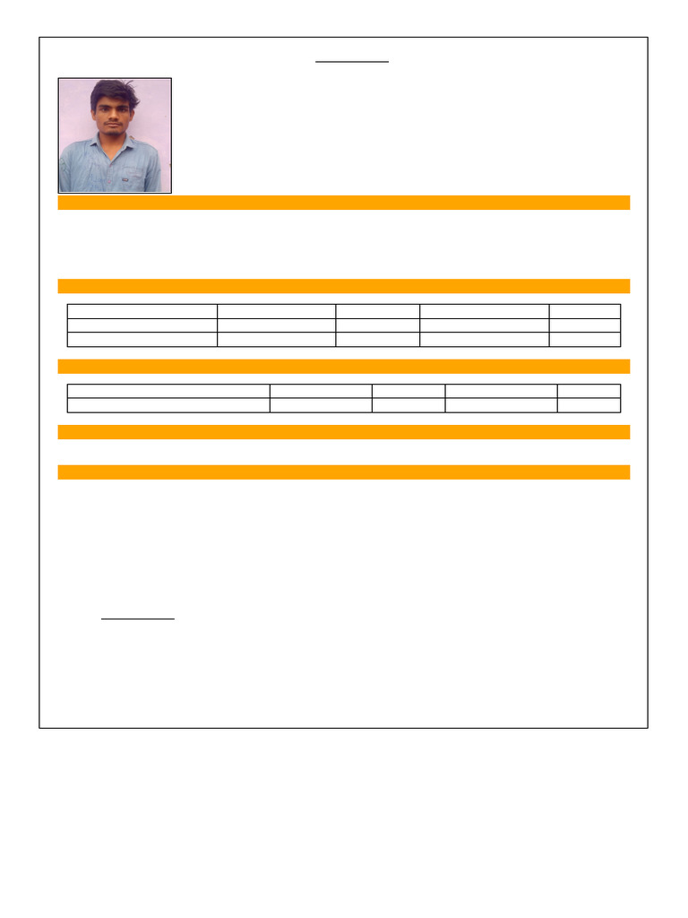 Niraj Rajput Resume | PDF